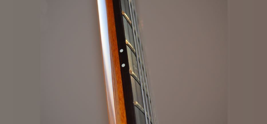 Wolph Guitar. PHRED instruments - Shop